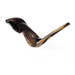Classical Ram's Horn Shofar Strict Kashruth Supervision - Kol Shofar ...