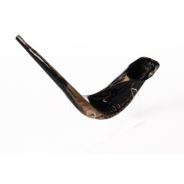 Types of Shofar Existing and Their Characteristics - Kol Shofar Factory