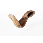 Types of Shofar Existing and Their Characteristics - Kol Shofar Factory
