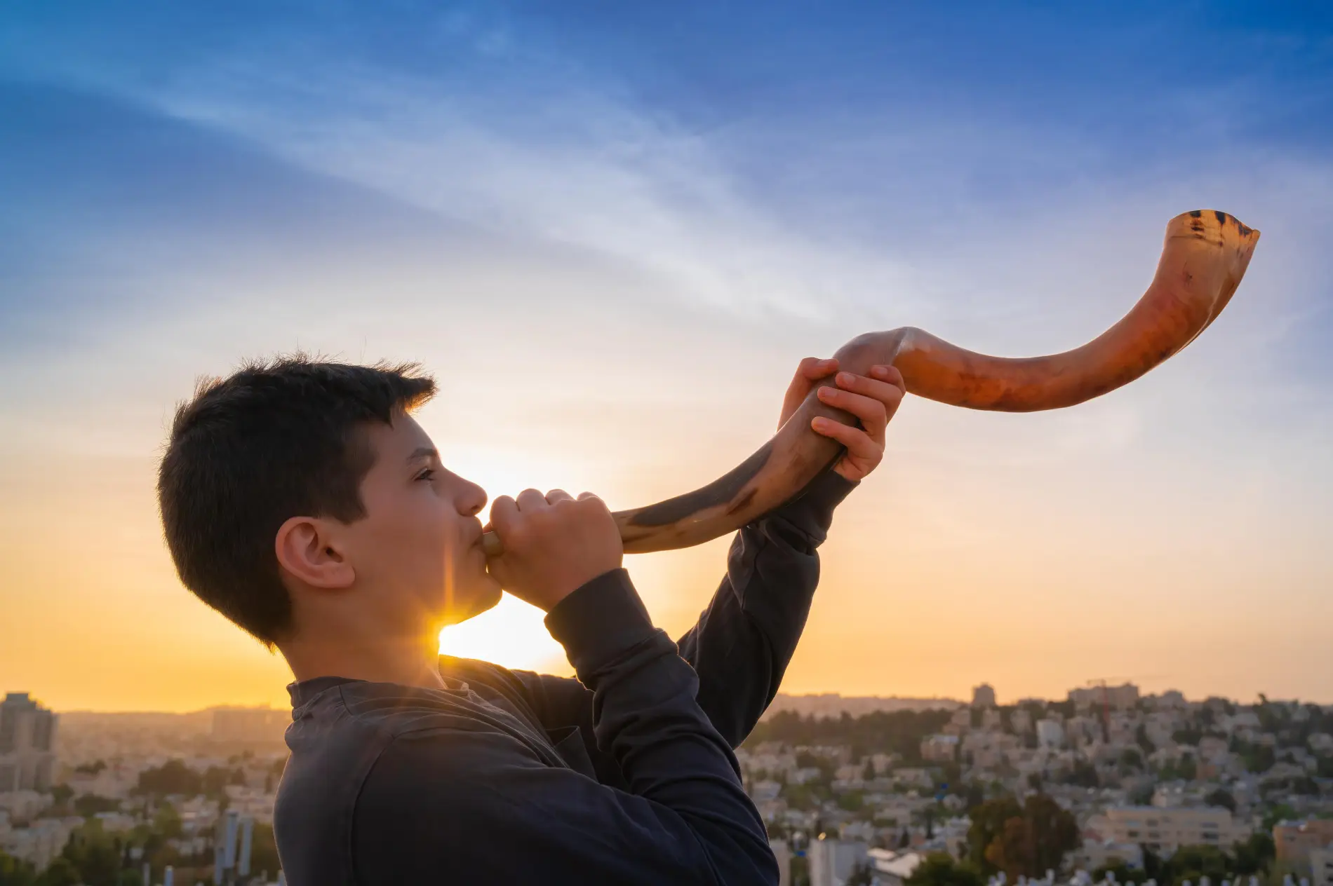 Why Every Home Needs an Authentic Israeli Shofar - Kol Shofar Factory